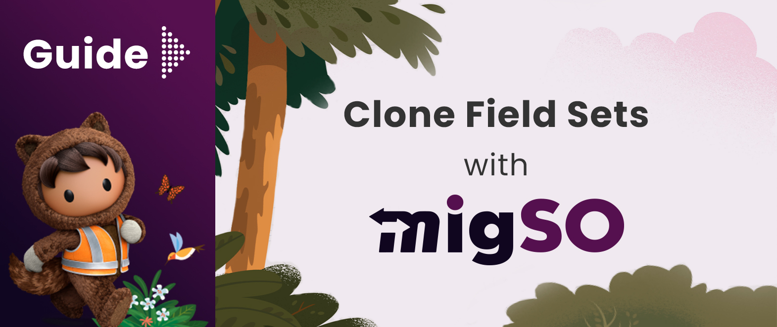 Guide To Clone Salesforce Field Sets By Using Migso