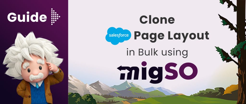 Guide to Clone Salesforce Page Layout By Using migSO