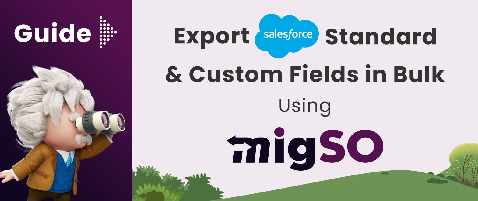 Guide To Export Salesforce Standard And Custom Fields By Using Migso