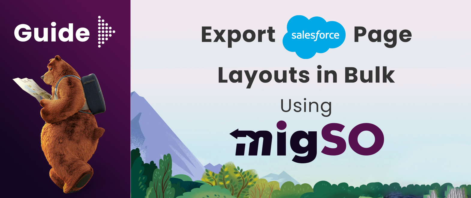 Guide to Export Salesforce Page Layouts By using migSO