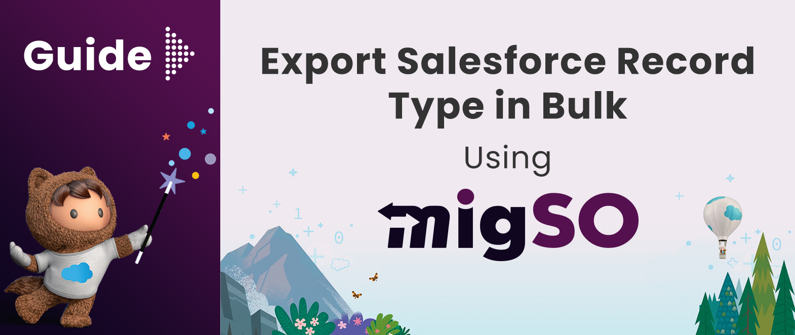 Guide to Export Salesforce Record Type By using migSO