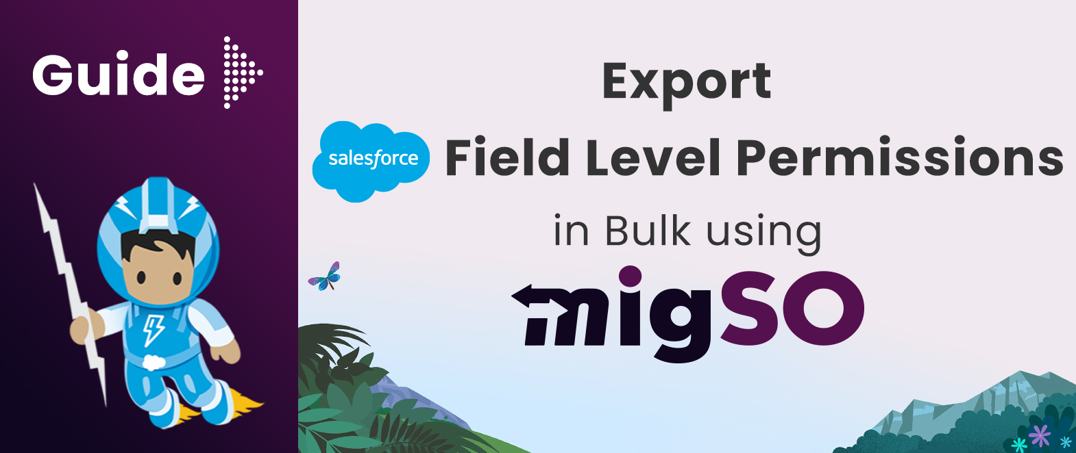 Export Salesforce Field Level Permissions by using migso